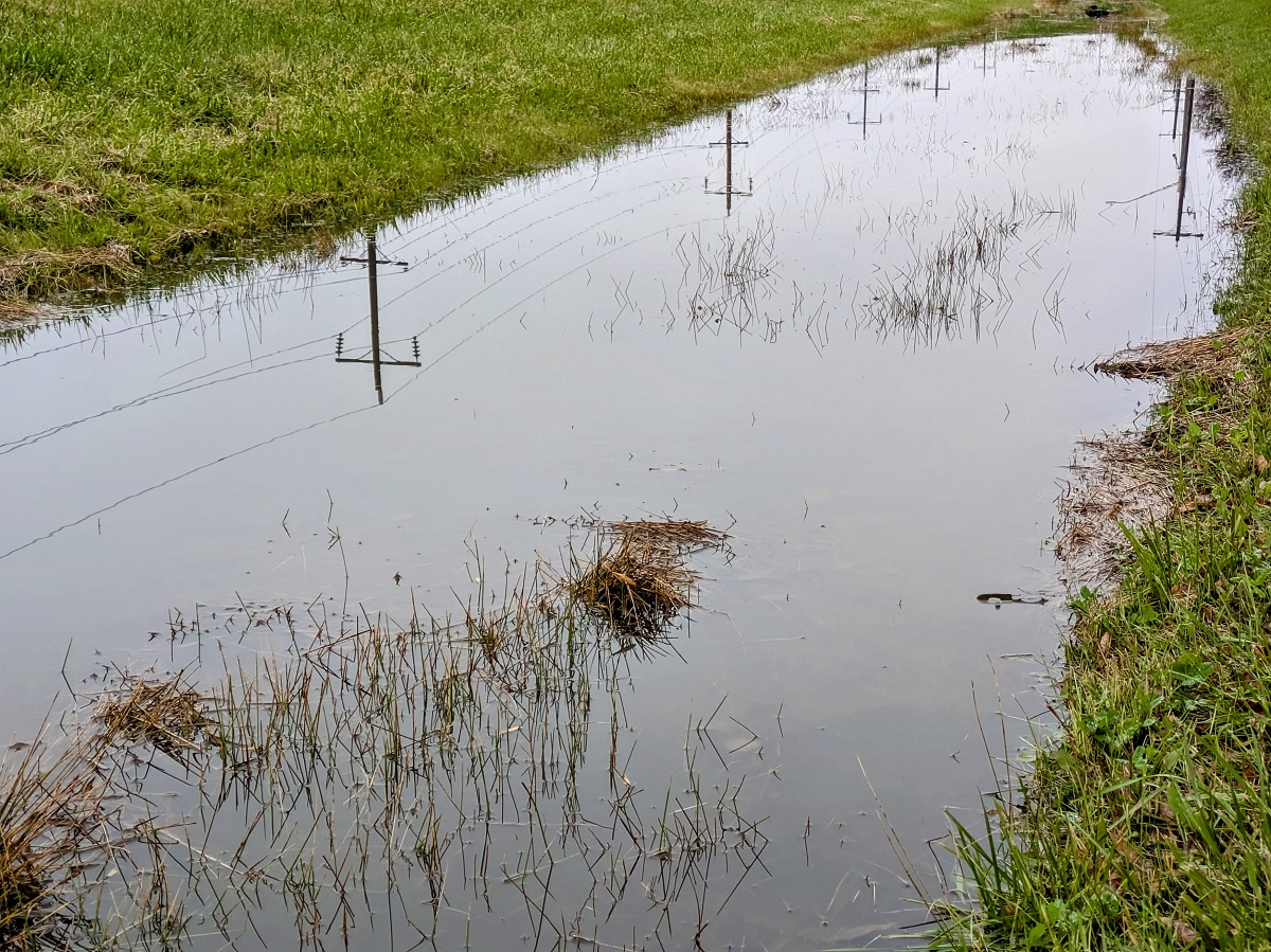 Fall rains continue according to latest reports from Rainwatchers ...