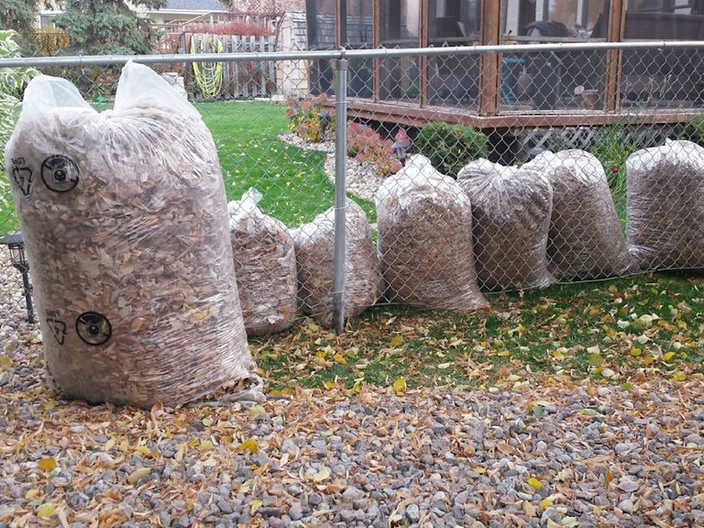 Final week for yard-waste pickup; compost site remains open ...