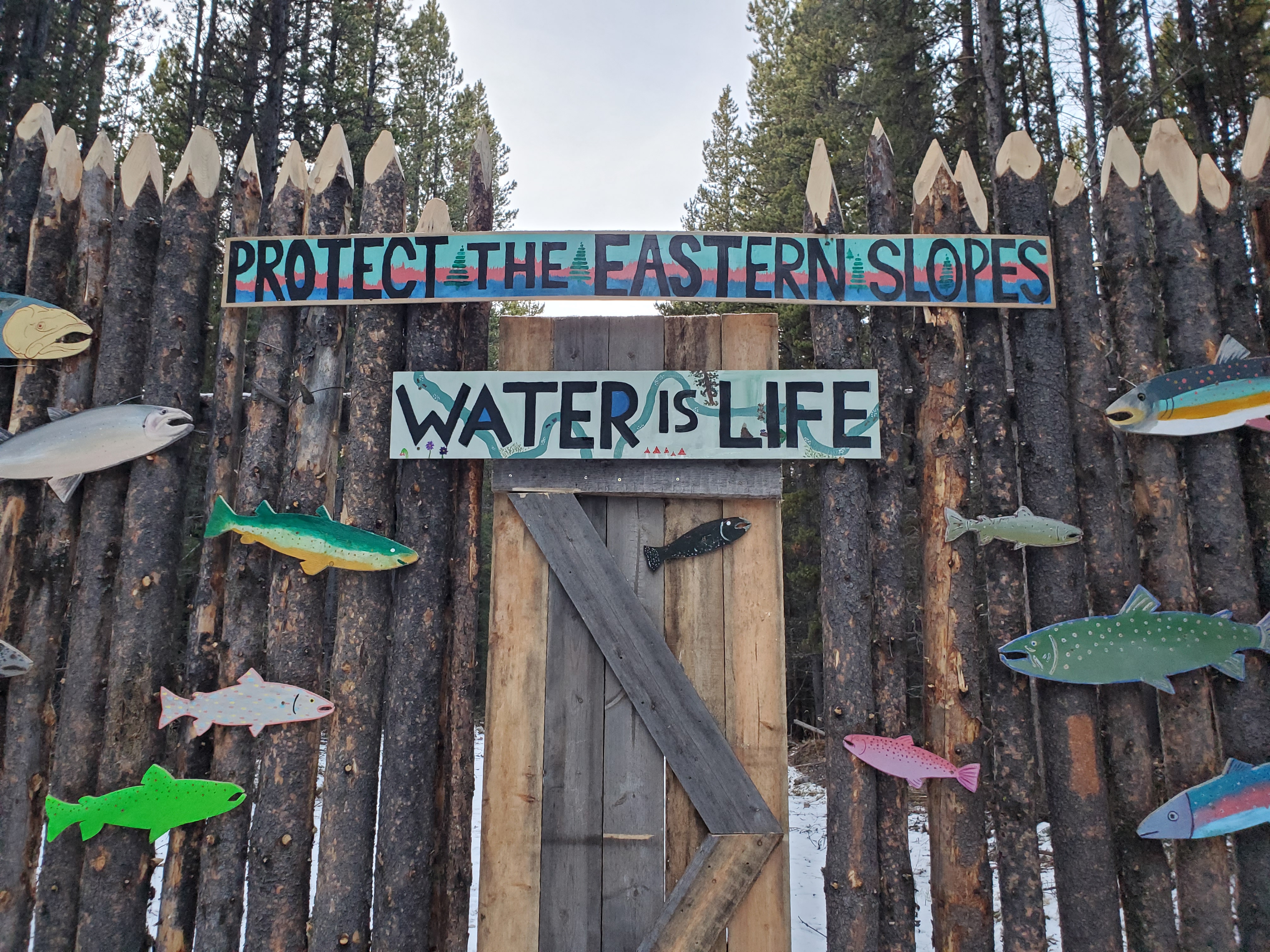 Eastern slope defenders rally to stop Highwood logging - OkotoksOnline ...