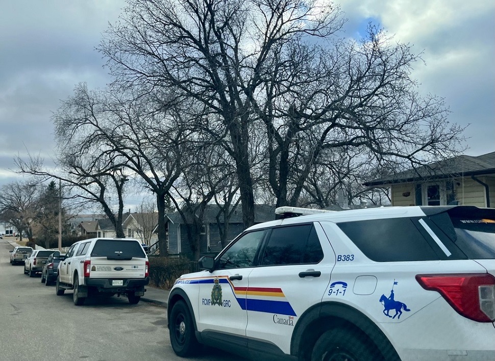 Sask. APS and City RCMP confiscate dogs - SwiftCurrentOnline.com ...