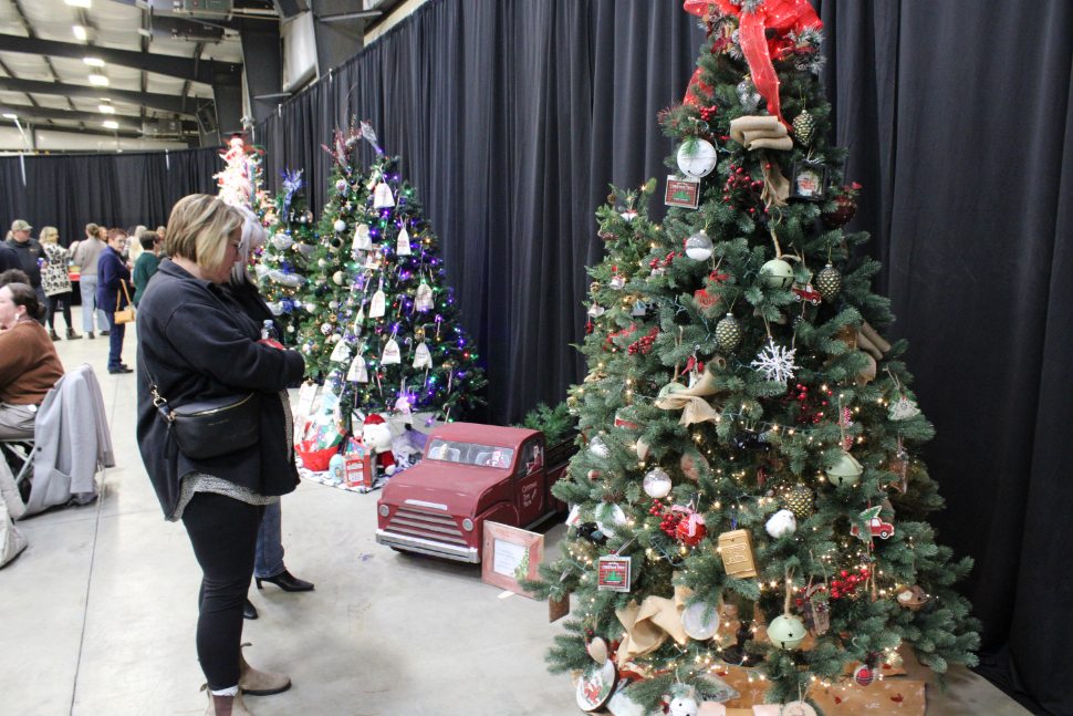 26th Festival of Trees shines with generous bids and community spirit ...