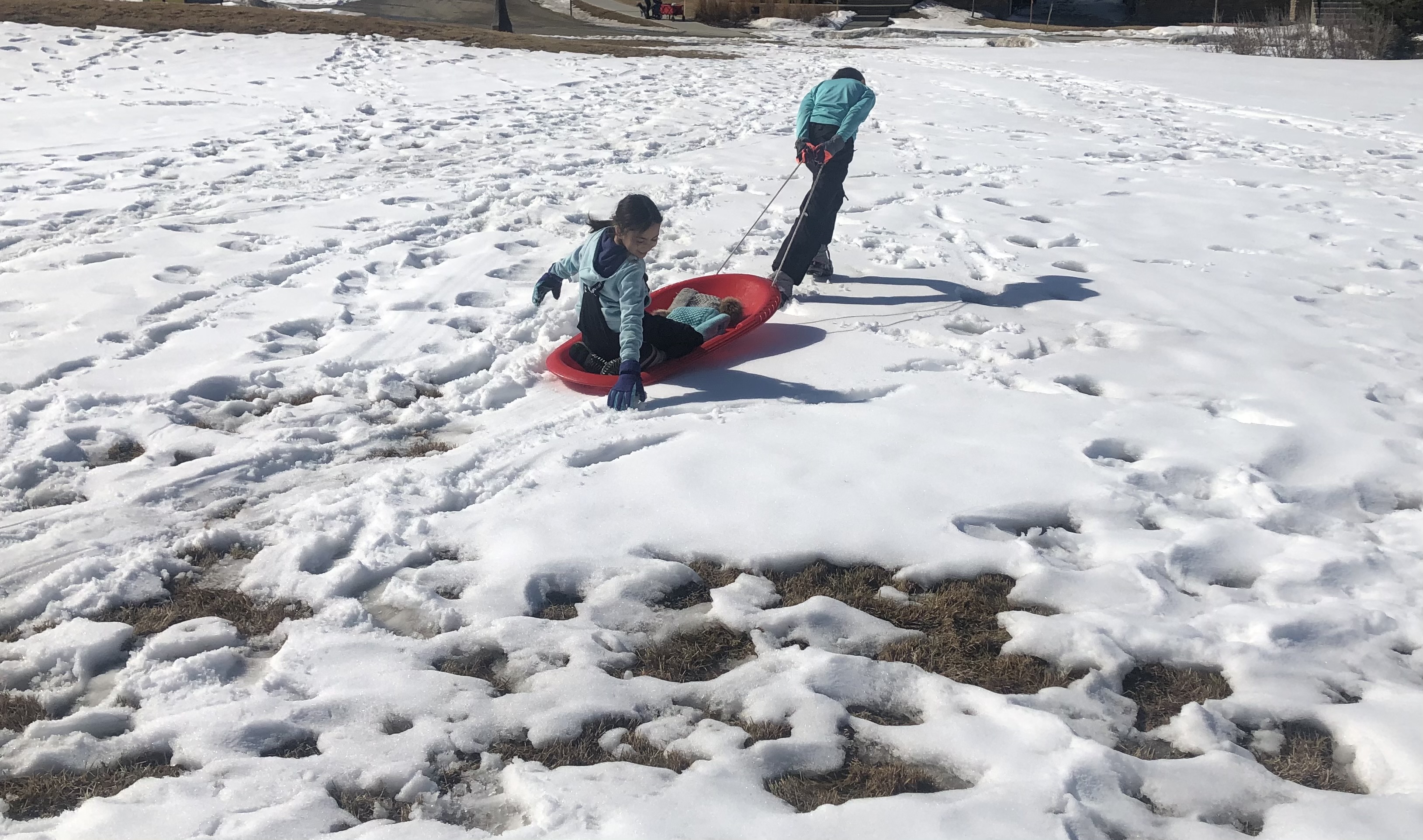 Best toboggan spots in Cochrane for today’s fresh snow - CochraneNow ...