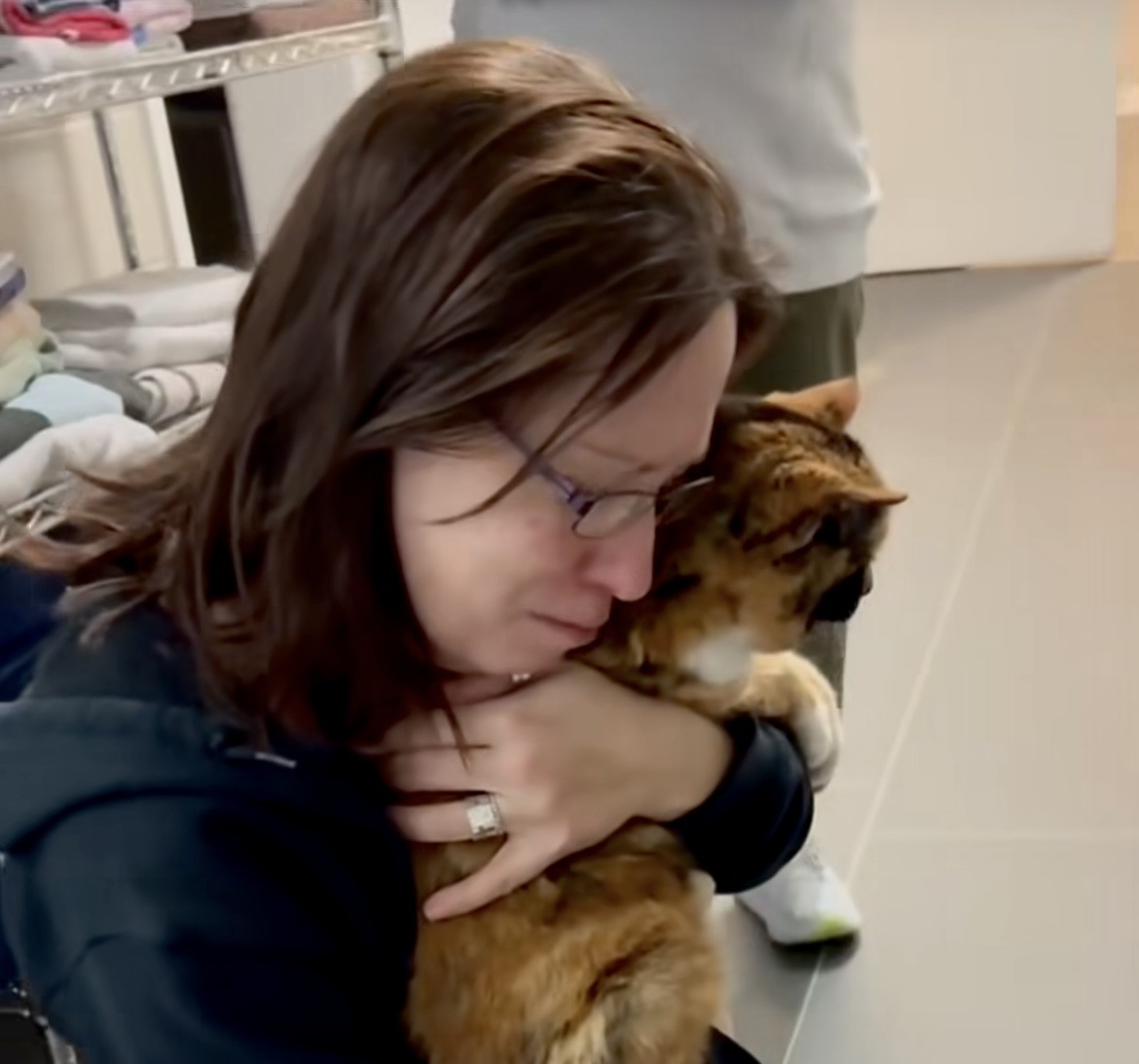 Cat missing for 8 years reunites with owner - HighRiverOnline.com ...