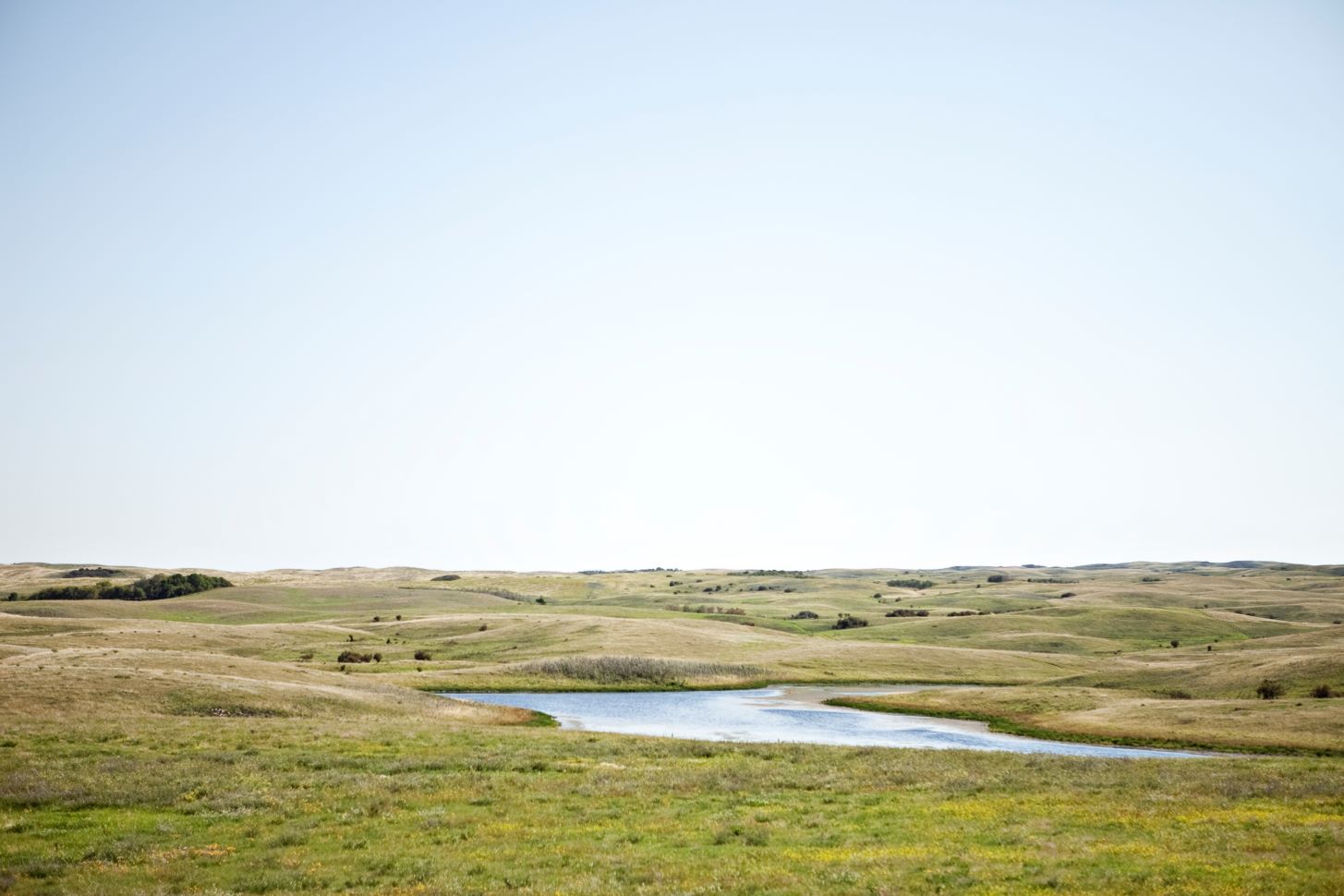 Prairie wetlands critical for continental waterfowl as Ducks Unlimited ...