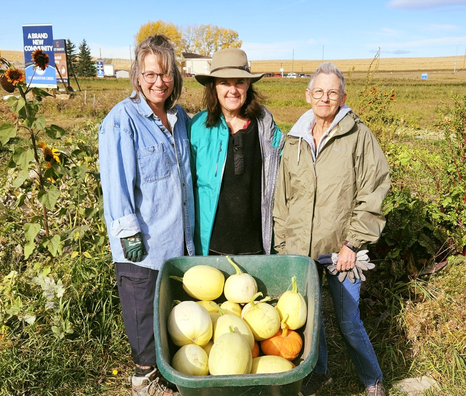 Airdrie Urban Farm Collective wraps up record-breaking season ...