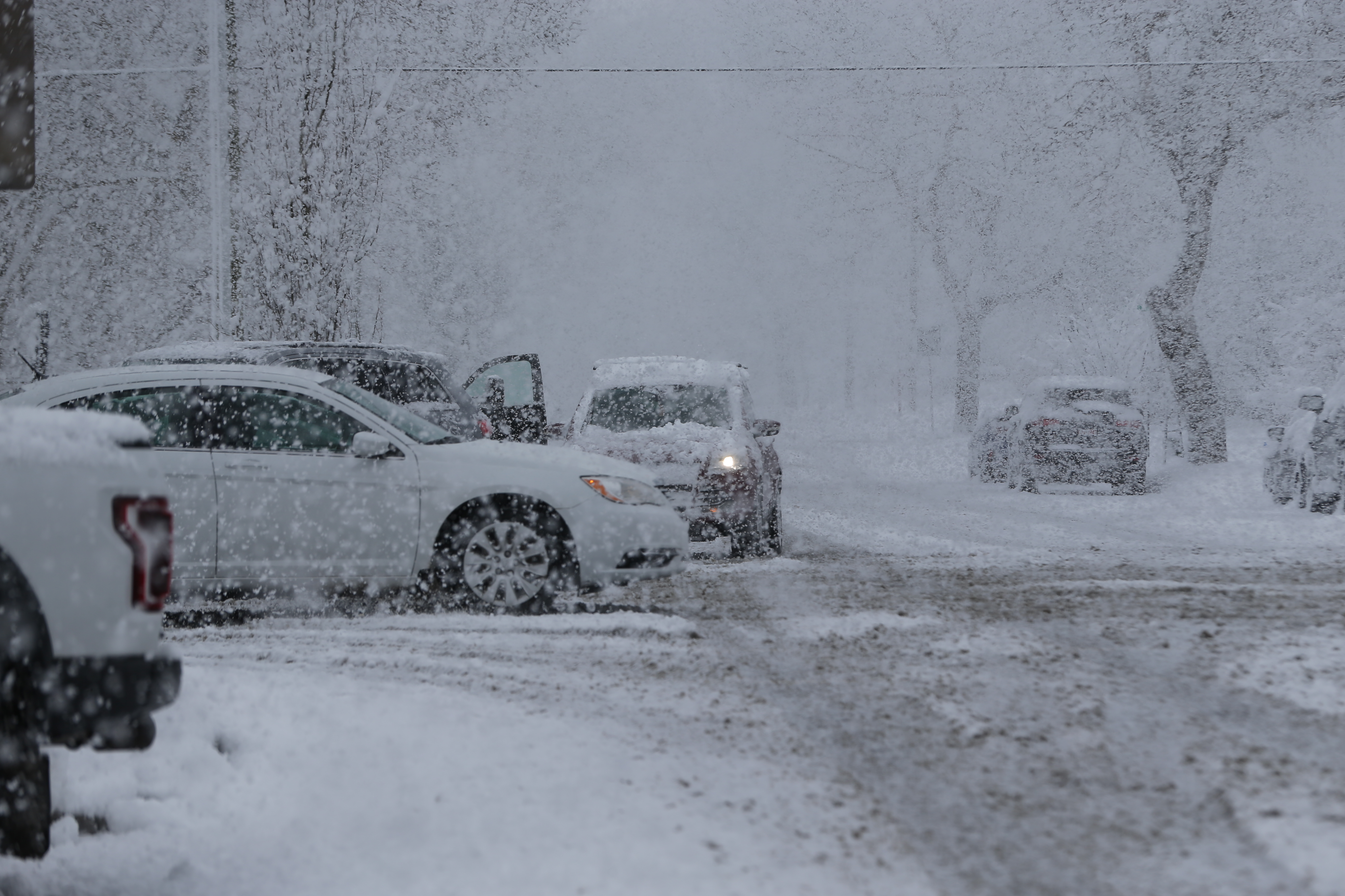 Alberta’s winter forecast? Two words: La Niña - DiscoverAirdrie.com ...