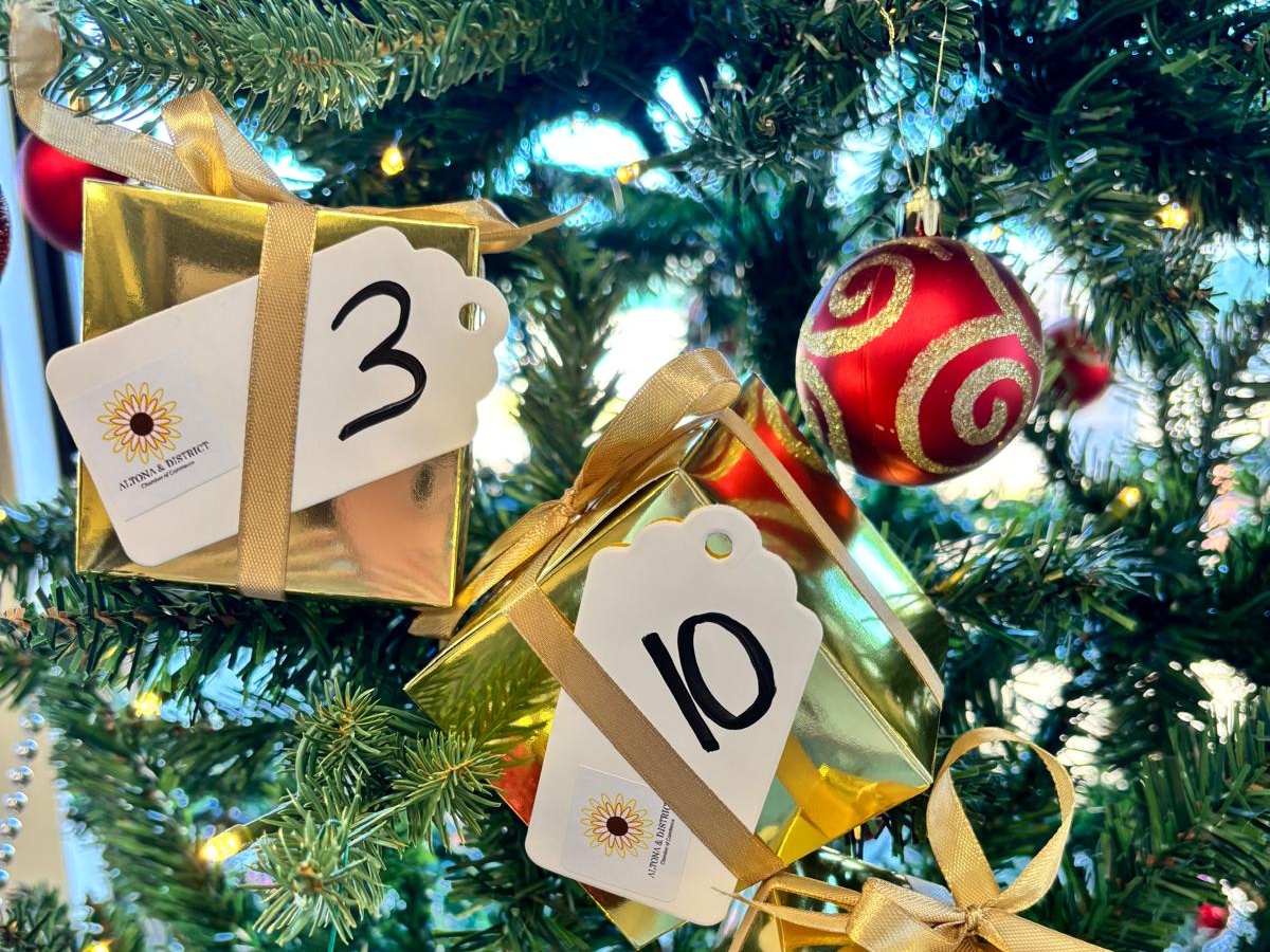Altona's Great Chamber Gift Hunt is underway - PembinaValleyOnline.com ...