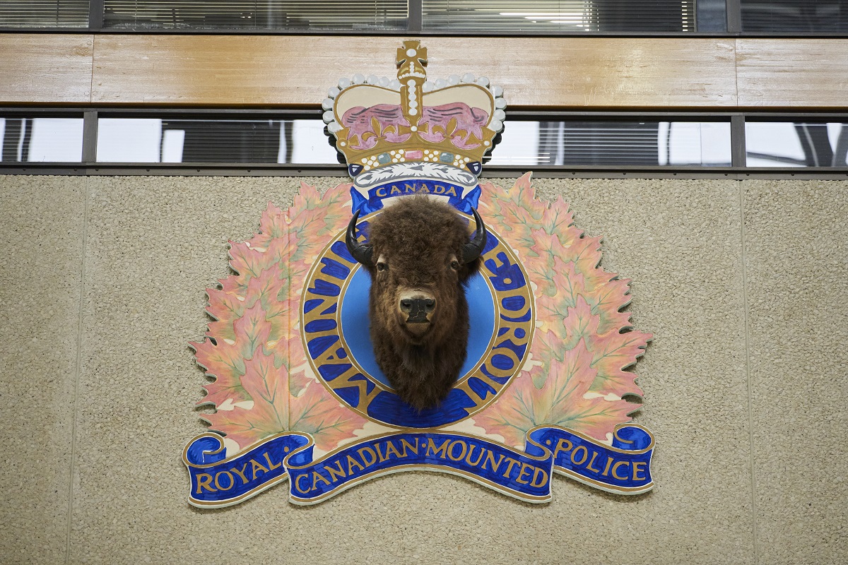 Almost all Manitoba RCMP officers now have body cameras: Mounties ...