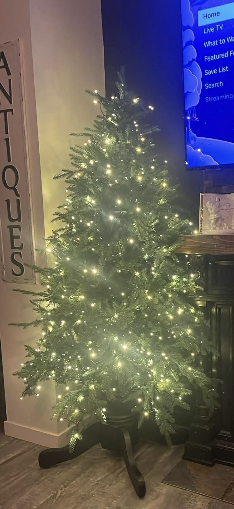 Courtney's Corner: The Viral Tree-Base Hack I Had to Try - DiscoverMooseJaw.com - Local news ...