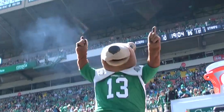 Bokep jepang dirumah sakit