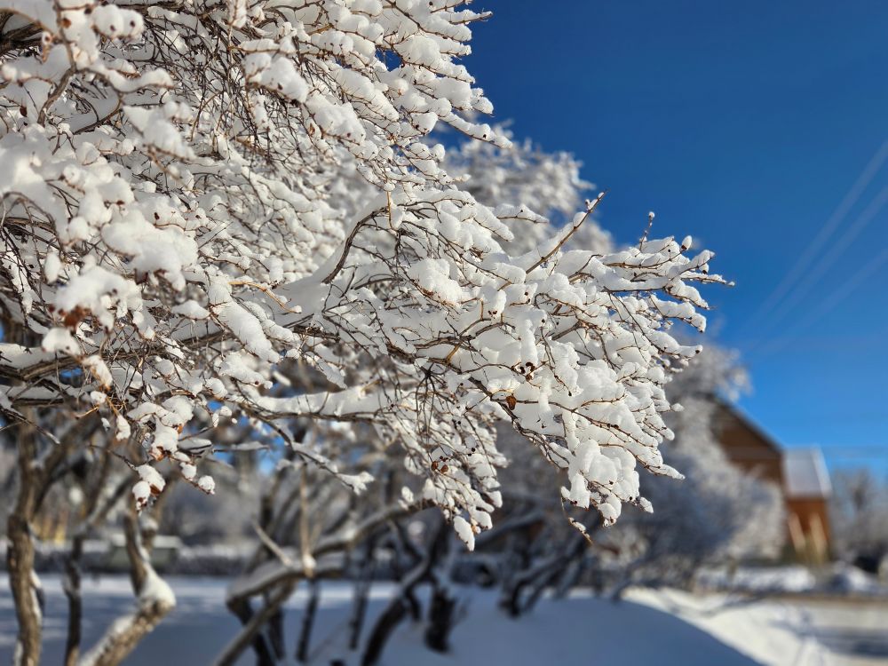 Update: Areas of Southern Alberta under Snowfall Warning ...