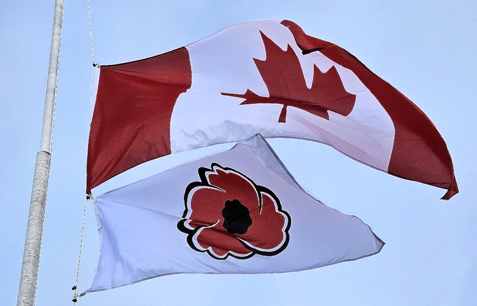 Poppy Flag to fly as campaign continues to build momentum - CochraneNow ...
