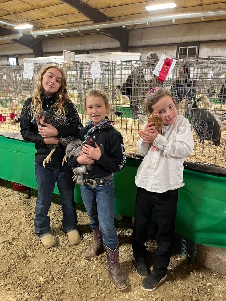 Sask aviculturists to gather in Moose Jaw for upcoming Prairie Poultry ...