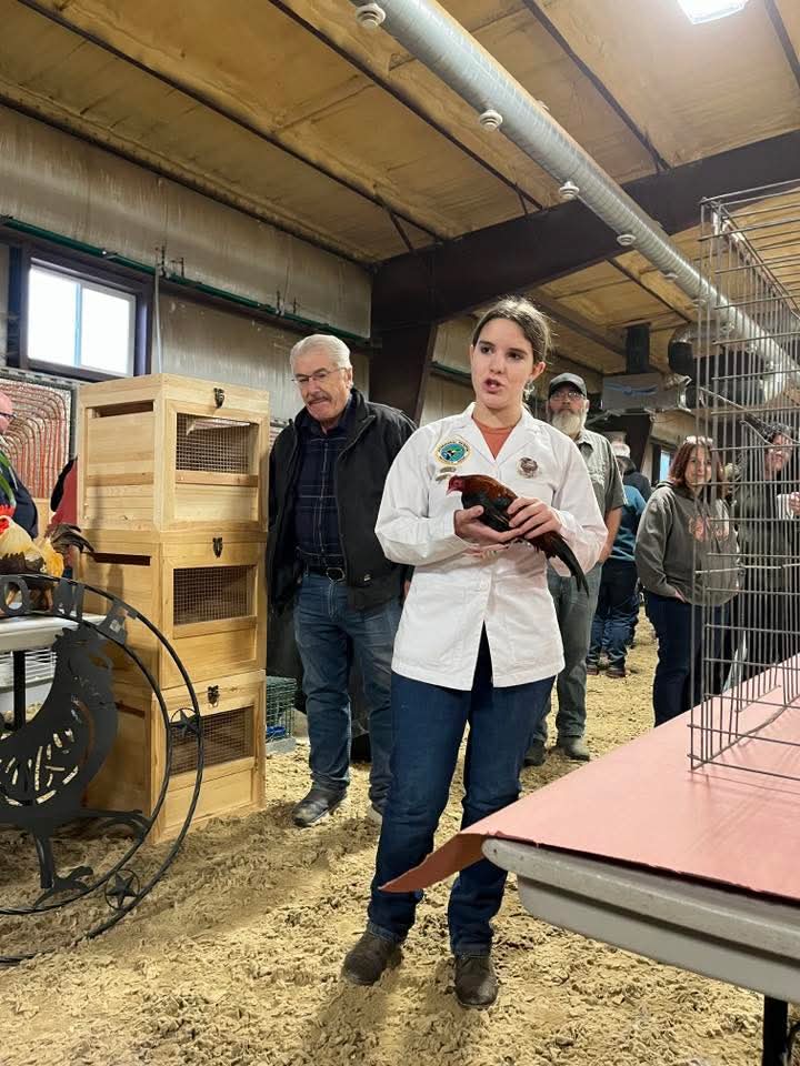 Sask aviculturists to gather in Moose Jaw for upcoming Prairie Poultry ...