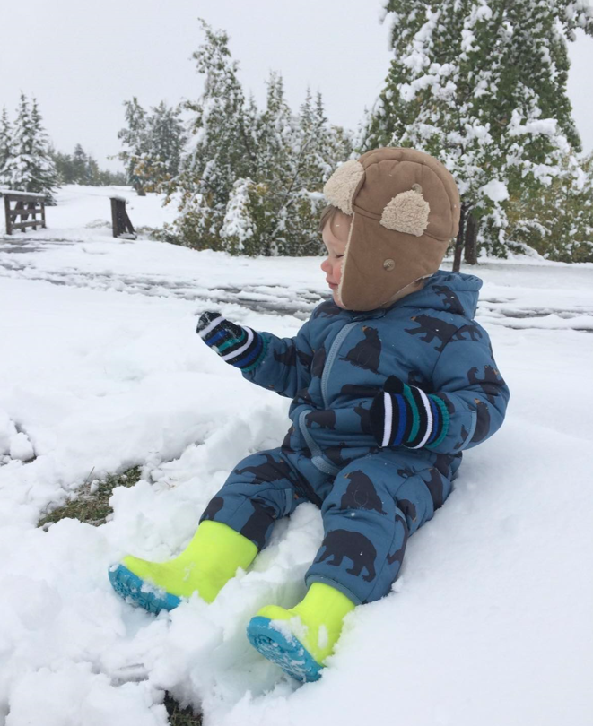 Big snowfall puts Cochrane on the high end at 15 cm - CochraneNow ...