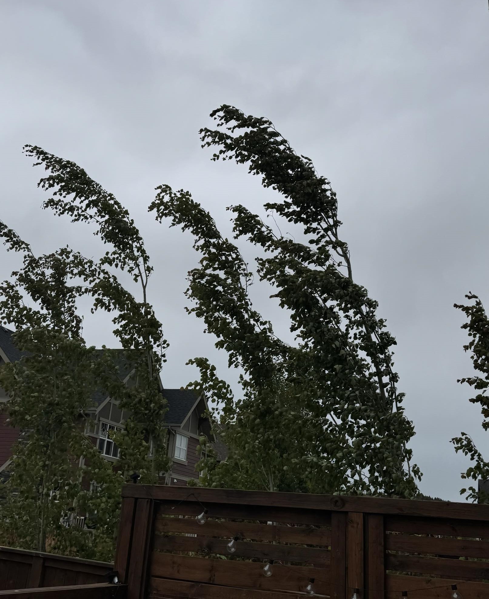 Gusty winds up to 90 km/h sweep area - CochraneNow: Cochrane, Alberta's ...