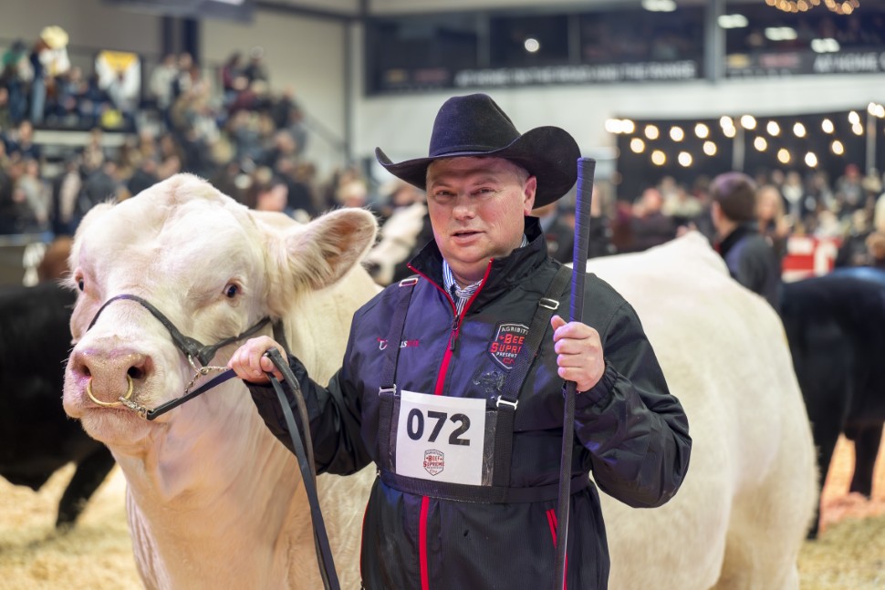 Charolais Bull from Alberta wins CWA Beef Supreme Champion ...