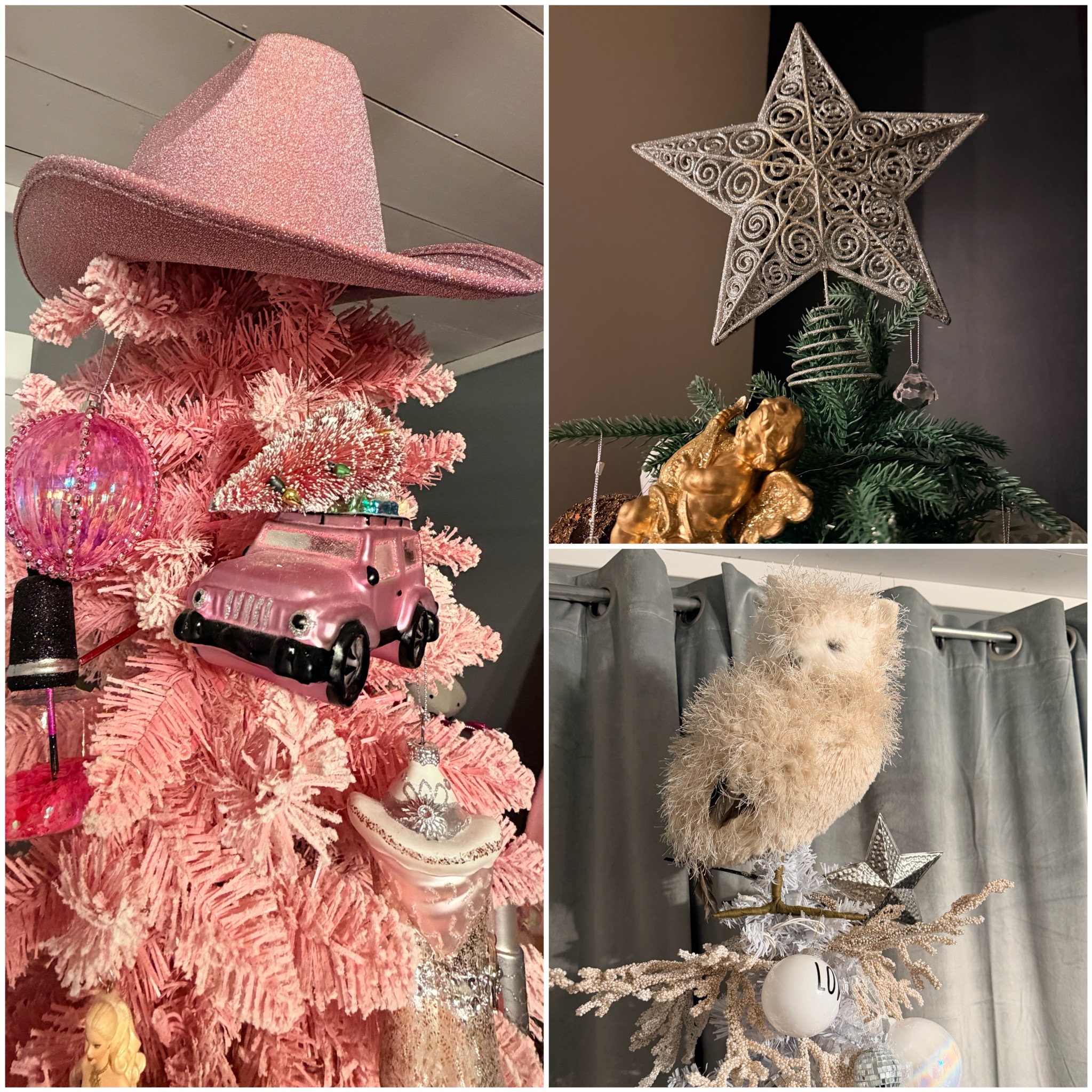 Courtney’s Corner: Star, Angel… or Something Wild? - DiscoverMooseJaw ...