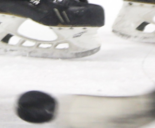 Airdrie’s MacKenzie Ebel named head coach of South Grey for Alberta ...
