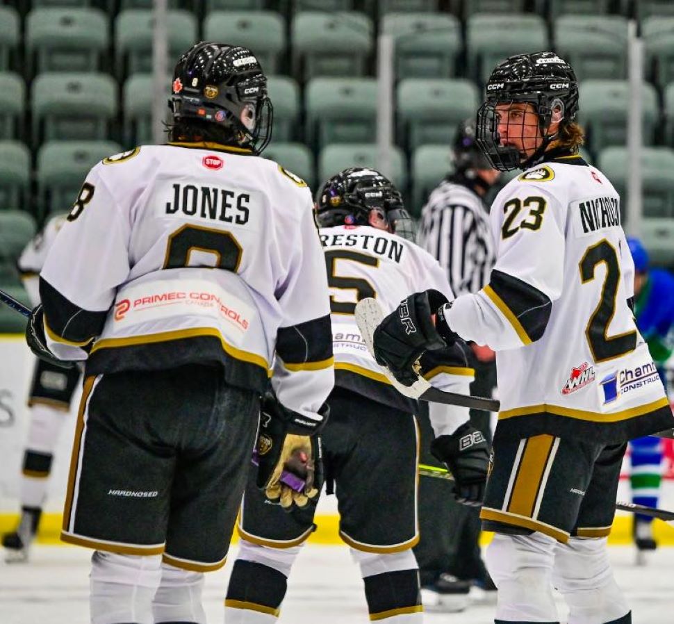 Bears fall 6-2 in quarterfinal opener - DiscoverEstevan.com - Local ...