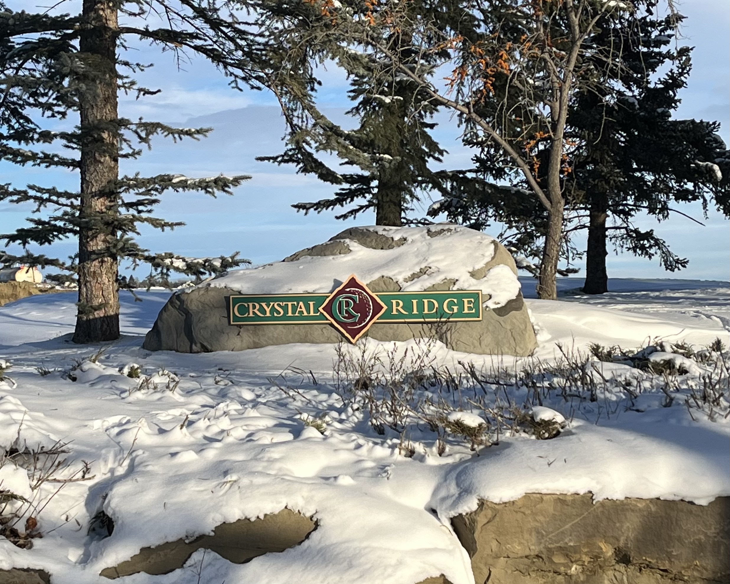 Annual tradition sees Foothills women tip $1,200 to local waitress ...