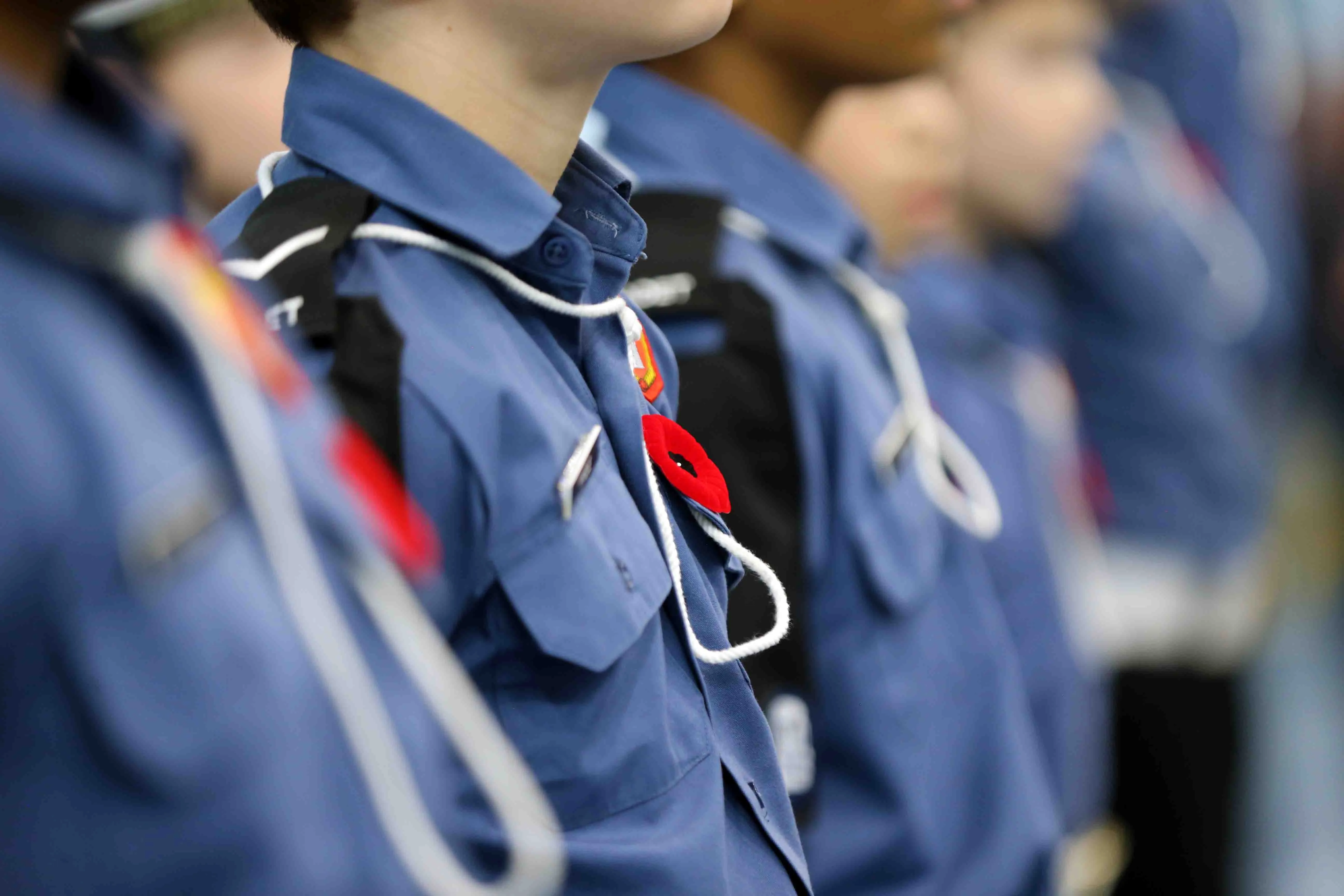 Airdrie Legion raises over $110K in poppy campaign - DiscoverAirdrie ...
