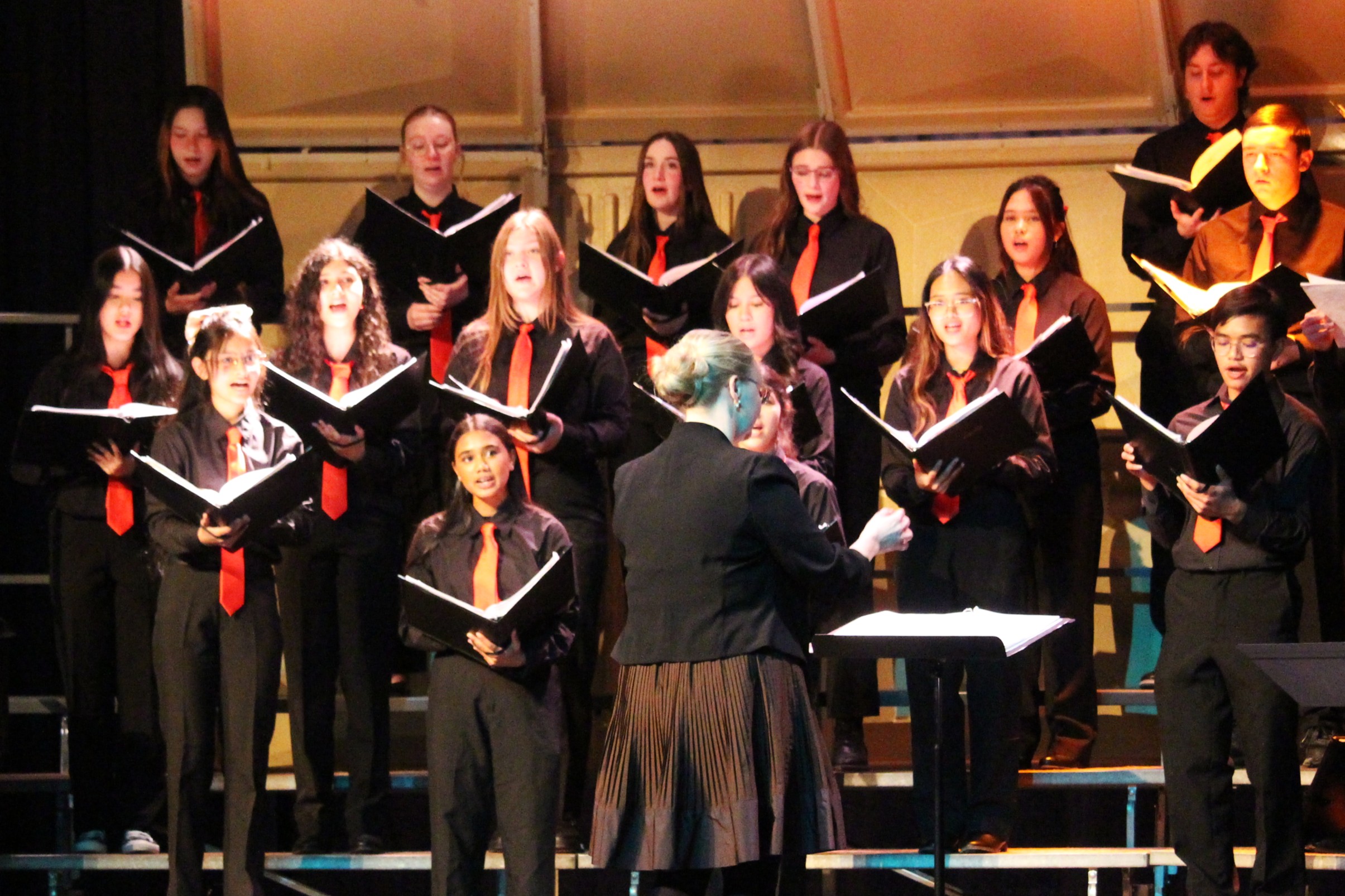 Photo Gallery: SCCHS Winter Concert thrills families ...