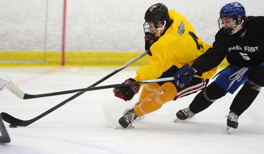 Kindersley, Delisle players make Sask First Male U15 Top 160 ...