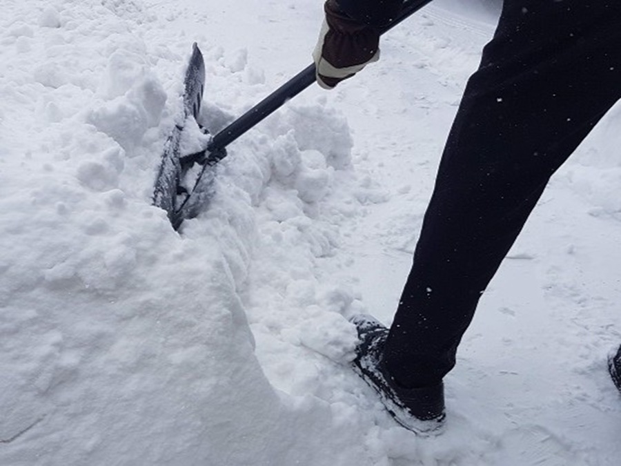 Snow is coming: here's who can help shovel your driveway ...