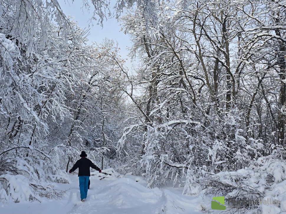 Winter weather outlook calls for cold and snowy start ...