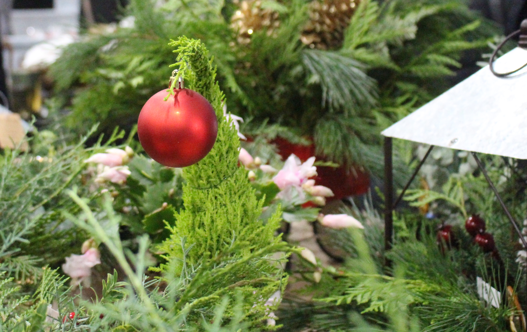 Christmas services & masses set to celebrate the seasonal spirit ...