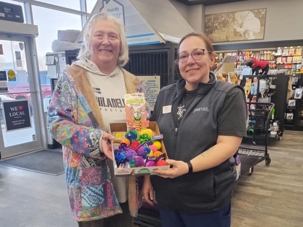 Shelter animals receive holiday gifts thanks to local toy drive ...