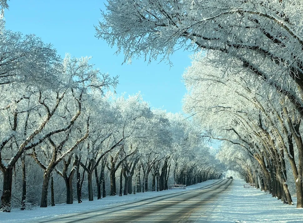 Layer up: Environment Canada shares frostbite prevention tips amid cold ...