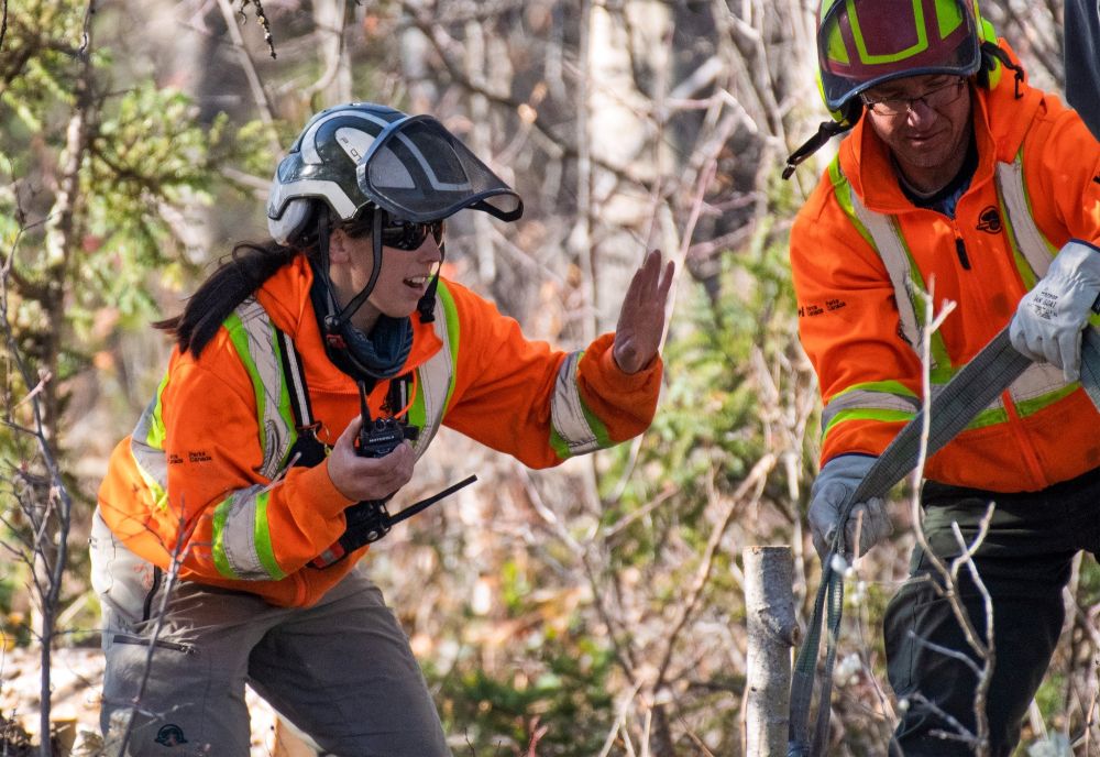Waterton trail crews tackle wildfire damage in 2025 - OkotoksOnline.com ...