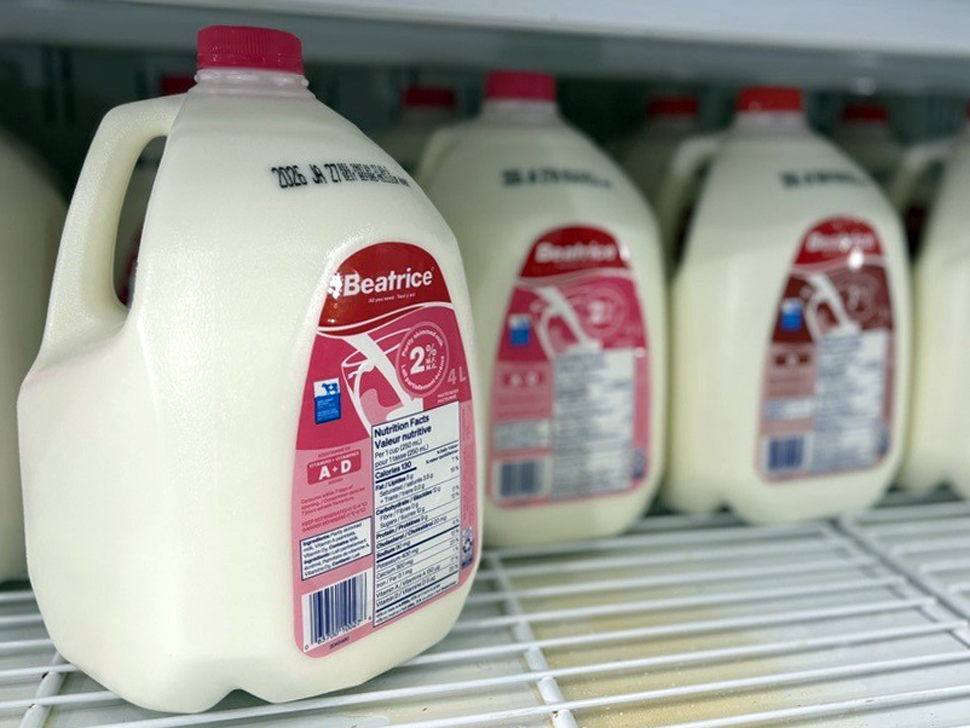 Manitoba government freezes milk prices for 2026 - CHVNRadio: Southern ...
