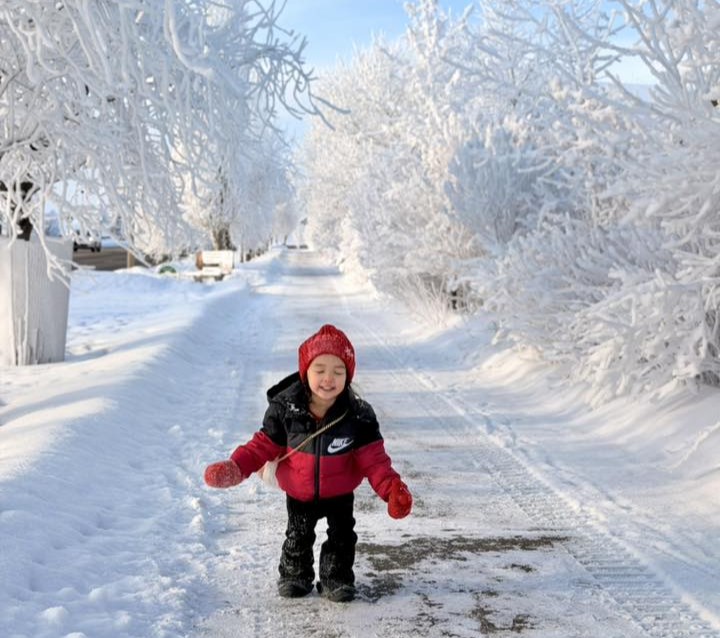 Pretty but powerful: Icy winter scenes stun Airdrie-area residents ...