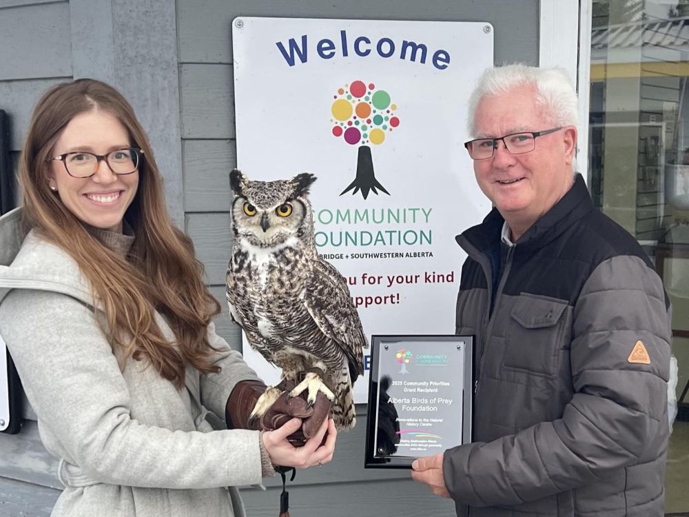 Raptor rescue group awarded $15k for facility upgrades - OkotoksOnline ...