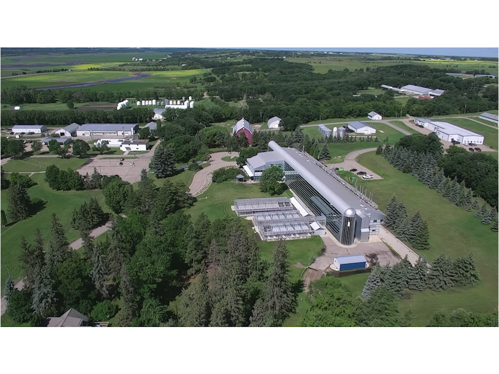 Brandon Research Centre staffing cuts draw criticism for impact on ...