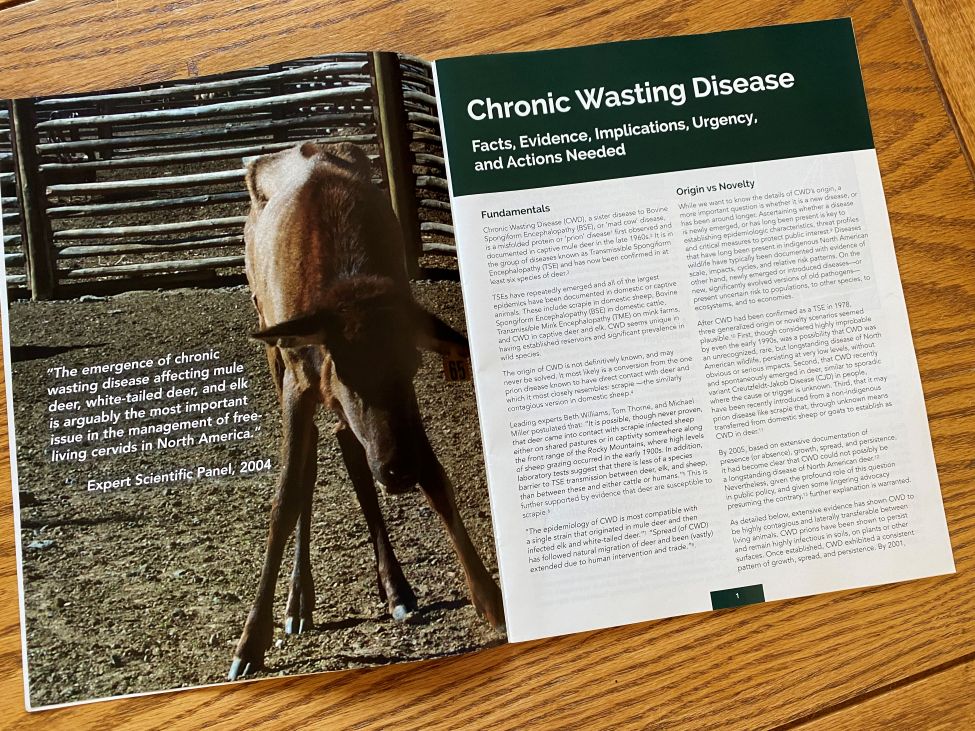 New CWD cases found in Manitoba: Hunters and Landowners urged to stay ...