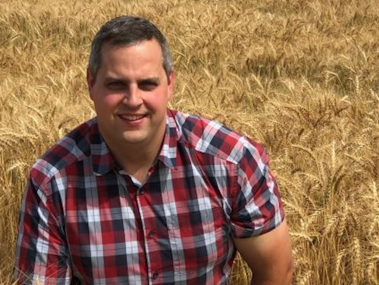 Wheat breeder resignation raises concerns across industry ...