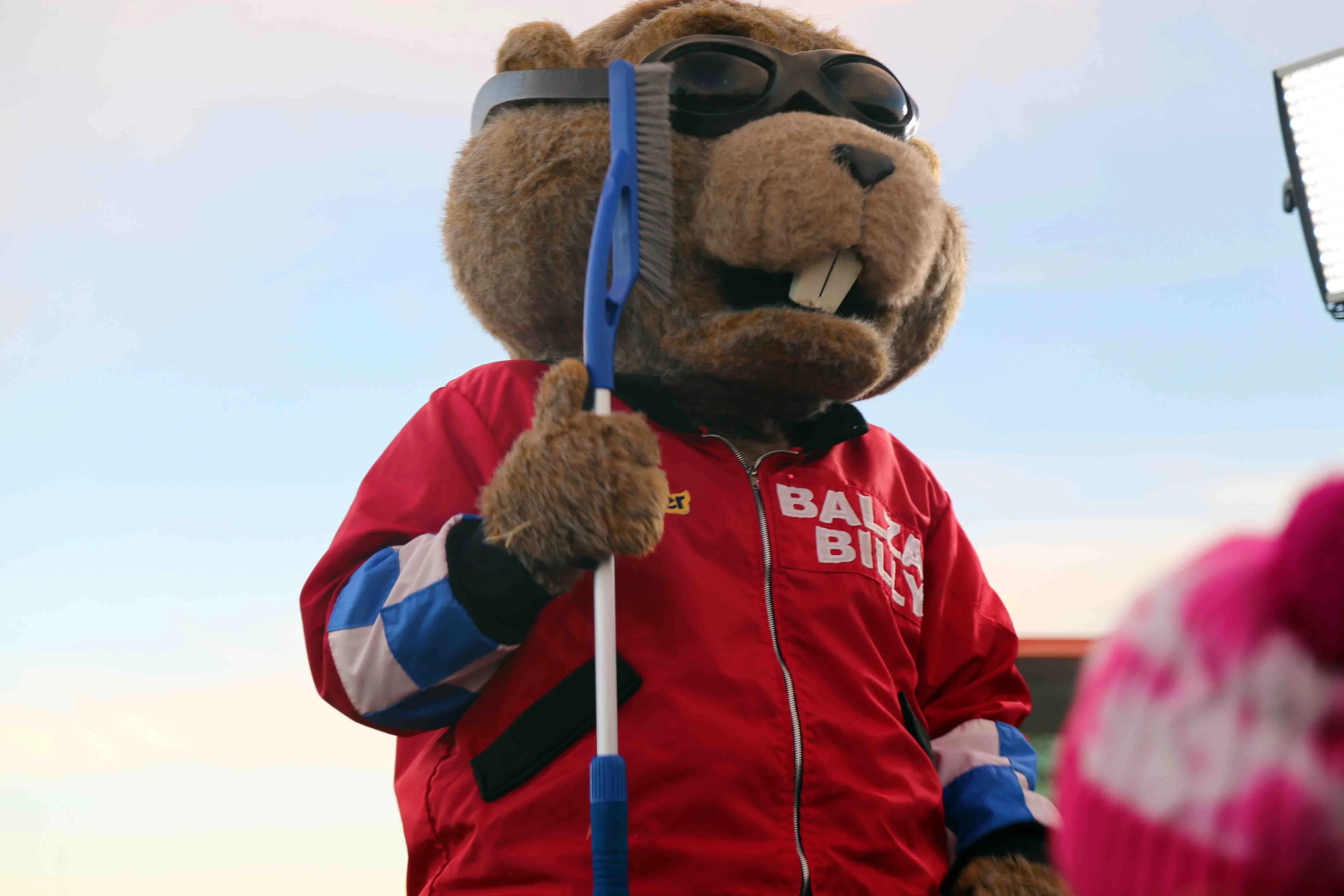 Shadow or Scam? What People Think About Groundhog Day - DiscoverAirdrie ...