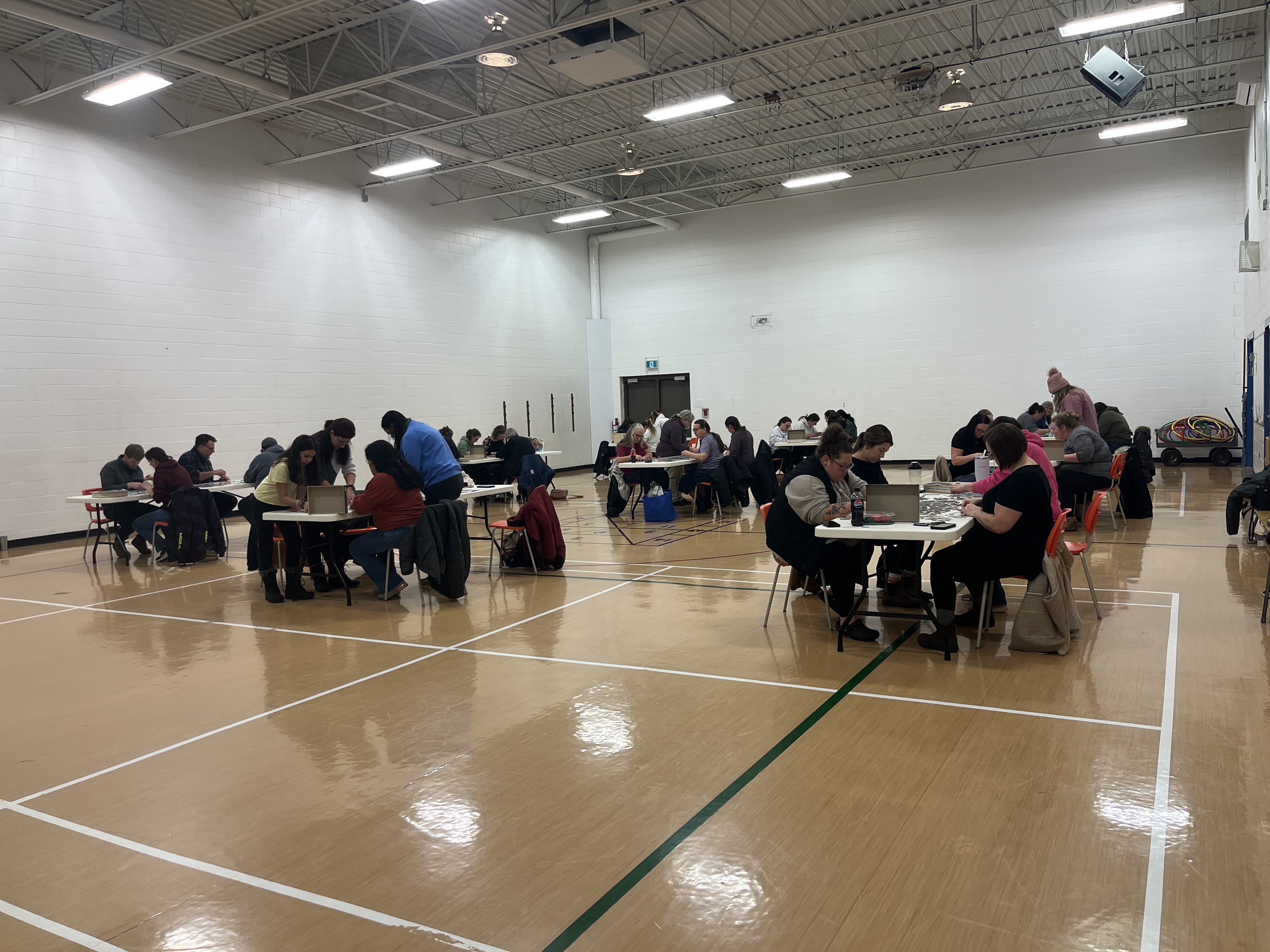 Get your sorting tables ready for Puzzle Palooza IV in support of AAFRC ...