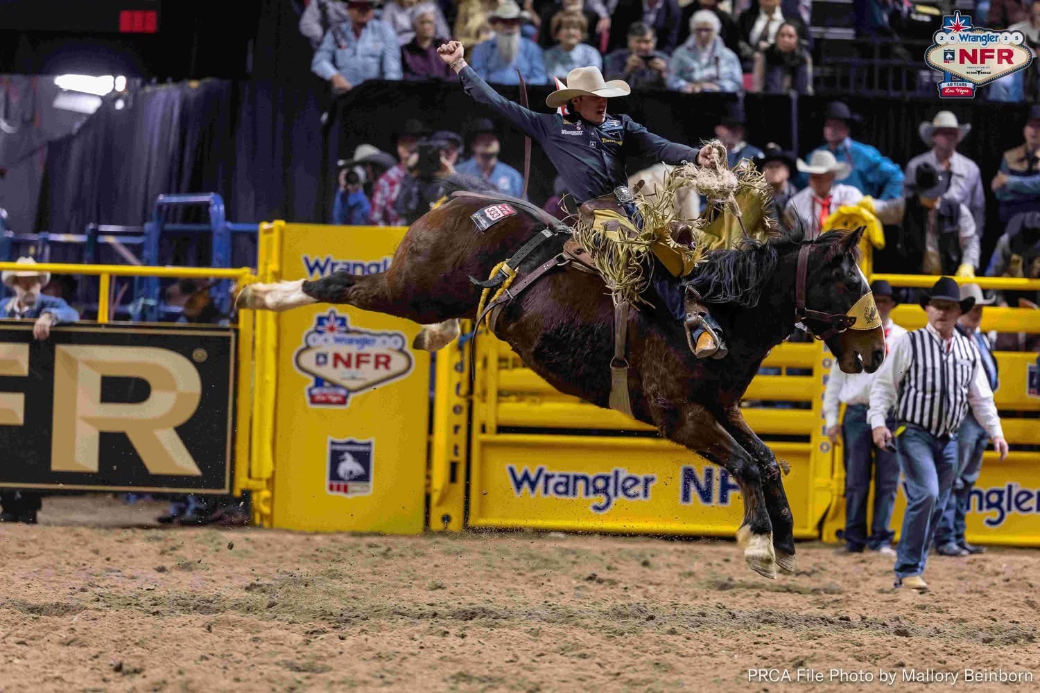 San Antonio Rodeo wraps with decent payouts for Foothills competitors ...