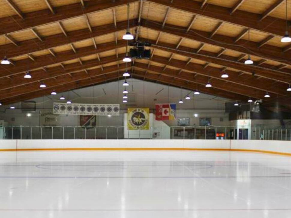 Terry Sawchuck Arena reopens after abrupt closure due to structural ...