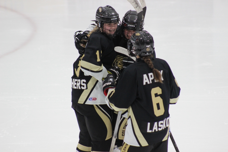 U18 AA Gold Wings secure road victory over Notre Dame Hounds ...