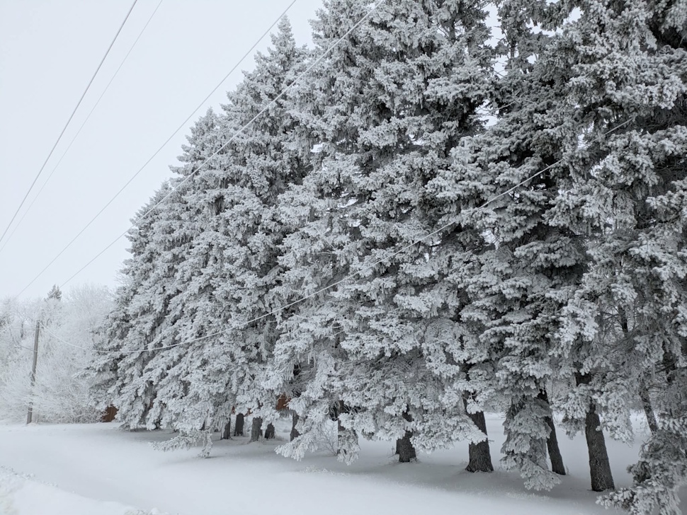 Gusty winds and light snow this weekend, warmer air ahead ...