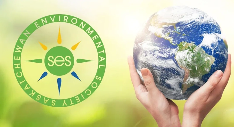 Court of King’s Bench strikes down challenge over Province’s extension ...