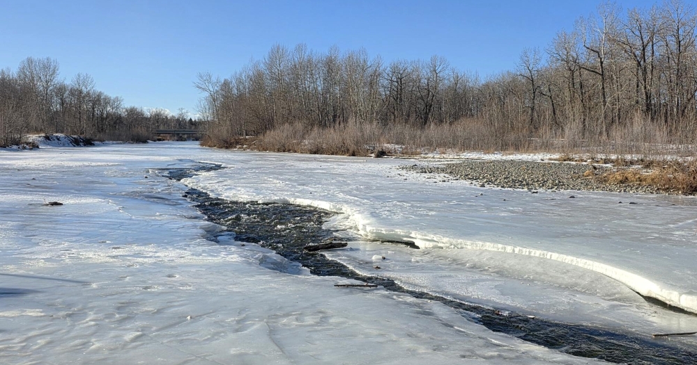 Chinook winds could bring record breaking heat, followed by snow this ...