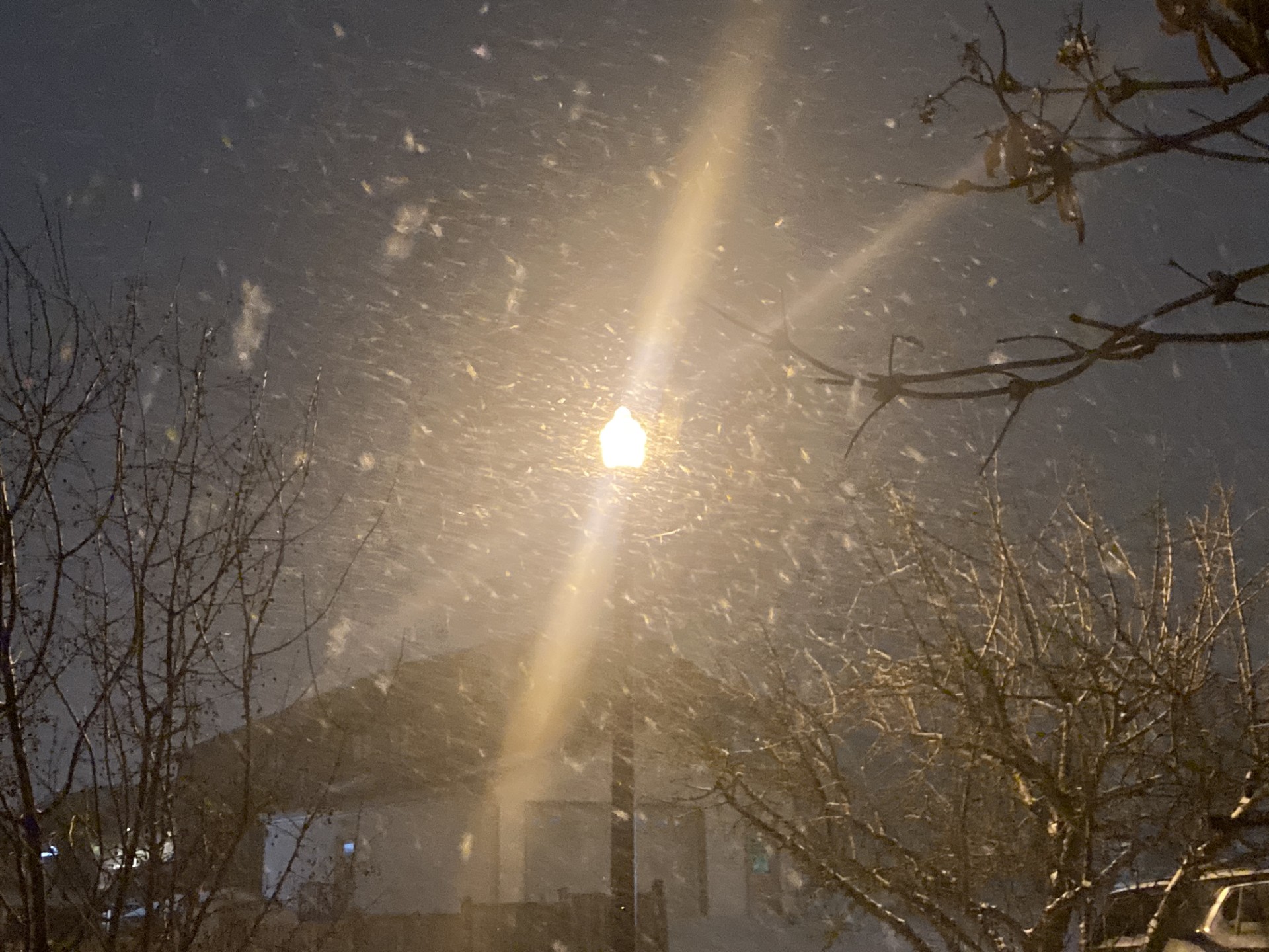Heavy snowfall expected to hit Central Alberta overnight ...