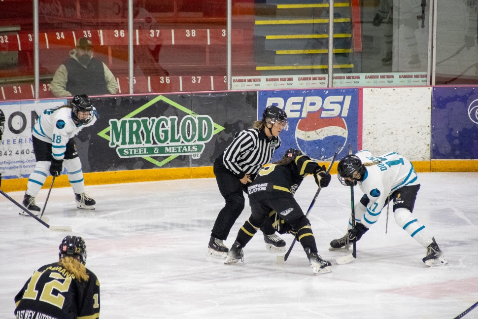 U18 AAA Gold Wings drop regular-season finale to Sharks, look ahead to ...